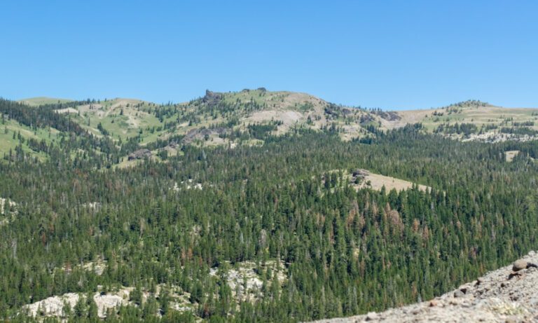 Living in Rostrevor, County Down - Right Rent