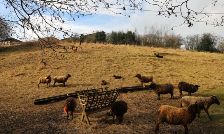 Living in Willington, Durham - Right Rent