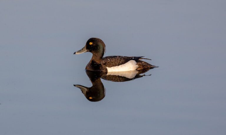 Living in Preesall, Lancashire - Right Rent