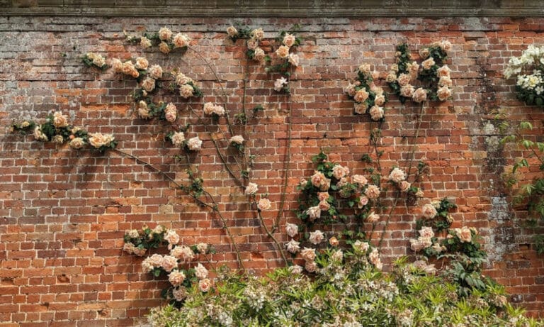 Living in Overstrand, Norfolk - Right Rent