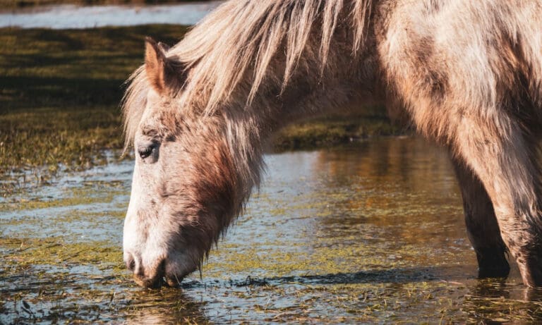 Living in North Baddesley, Hampshire - Right Rent